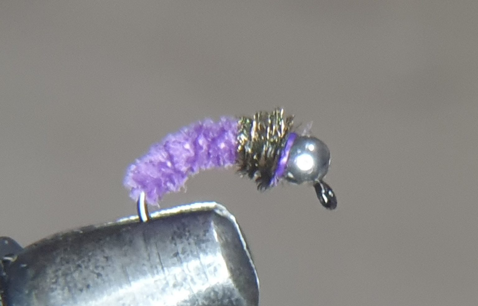 Purple And Peacock Maggot – Radbuza Fishing